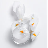 The Best Ingredients & Vitamins for Hair | Kérastase® Australia